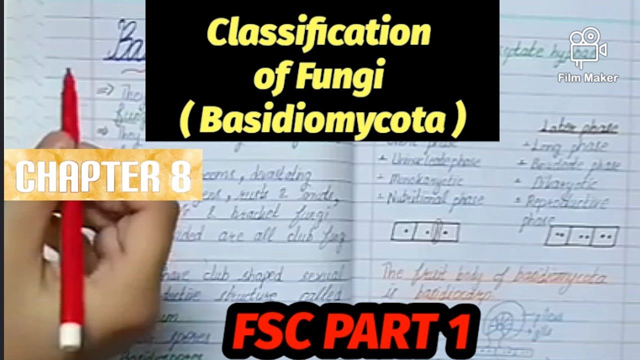 Basidiomycota| Classification of Fungi| Biology class 11 chapter 8|PTB ...