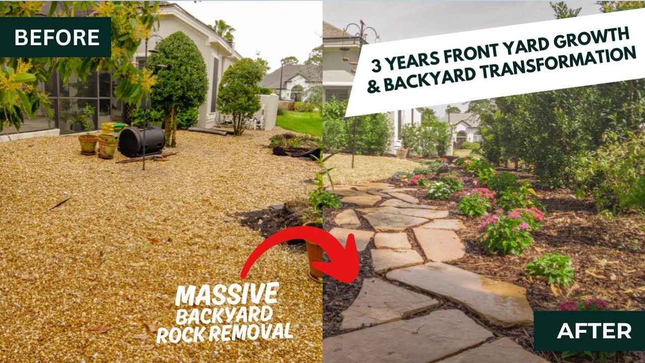 3-Year Front Yard Growth & Backyard Rock Removal | Jacksonville Florida ...