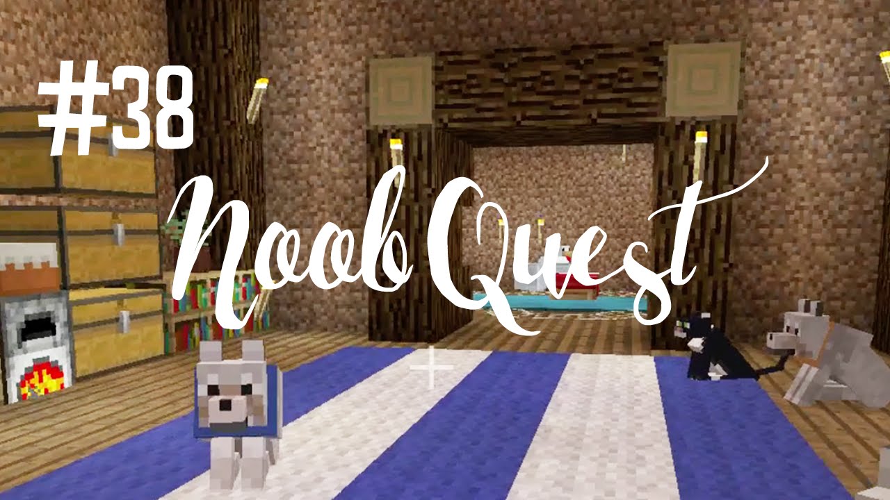 GOODBYE PETS - NOOB QUEST (EP.38) - YouTube