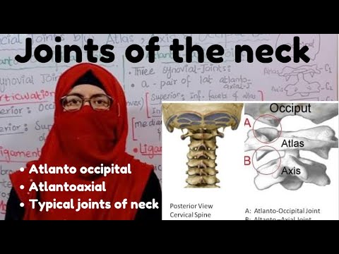 Joints of the neck | Atlanto occipital |Atlanto axial | typical Joints ...