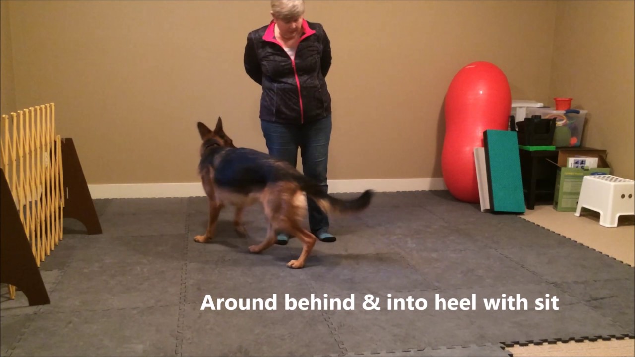 Hand Target Examples - YouTube