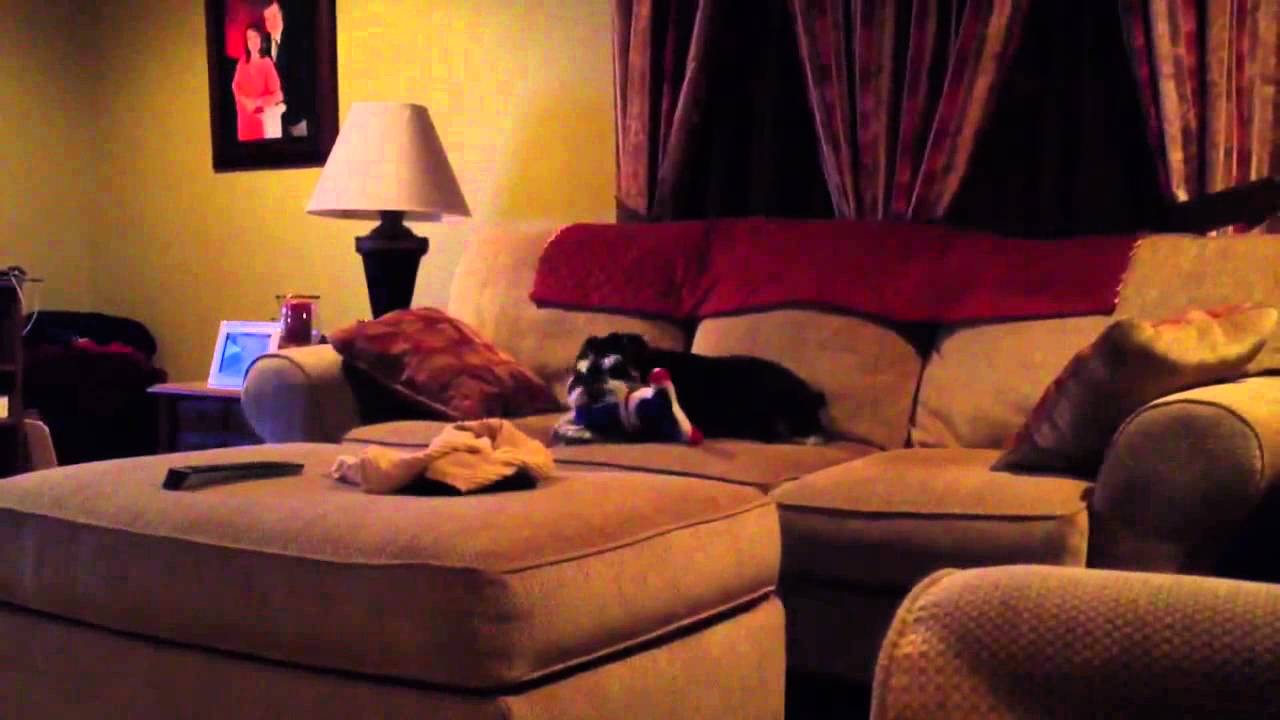 Find Fun Ship Freddie - YouTube