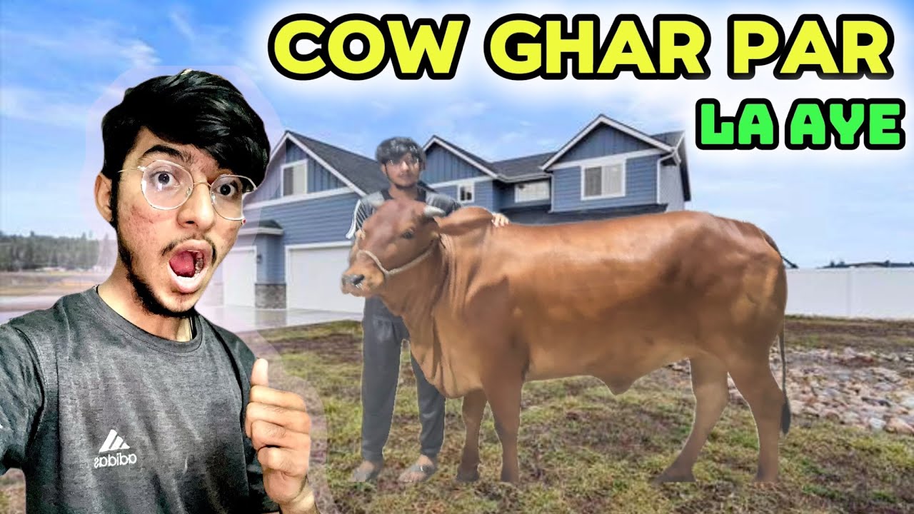 Cow Ghar Par La Aye 🐂😍Episode 2#viralvideo #cow #epis2 ode#viral - YouTube