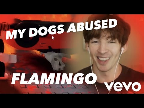 MY DOGS ABUSED - FLAMINGO - YouTube