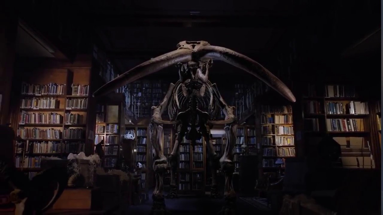 Natural History Museum Alive - YouTube