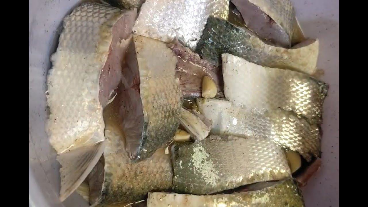 MARINATING MILK FISH (DAING NA BANGUS) #milkfish #yummy #yummyrecipe # ...