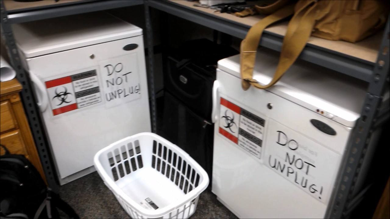 Chasing Bats at Congaree - Episode 4: The Fieldhouse - YouTube