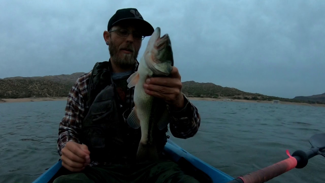 Rio Rico popper top water kayak fishing Bartlett Lake - YouTube