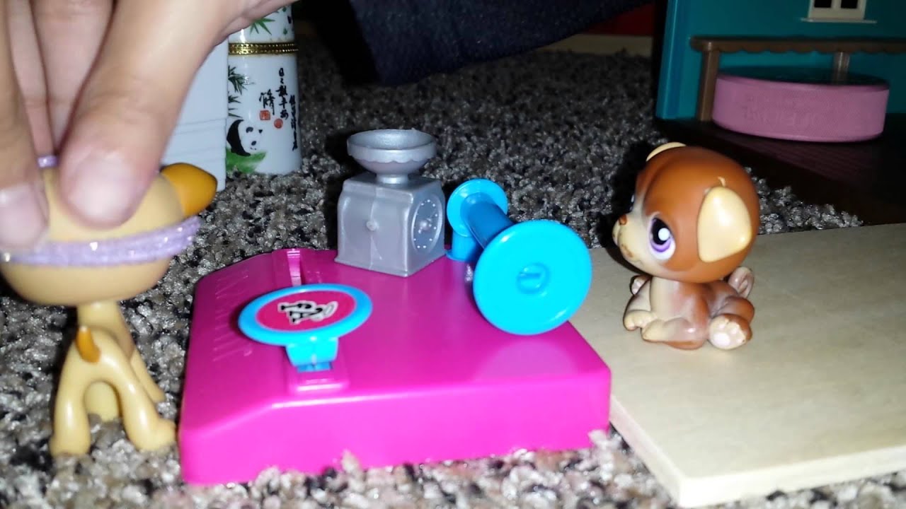Littlest pet shop salon and spa - YouTube