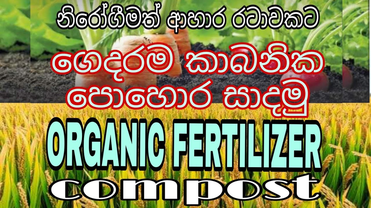 කොම්පොස්ට් ගෙදරම හදමු How To Make Compost At Home කාබනික පොහොර