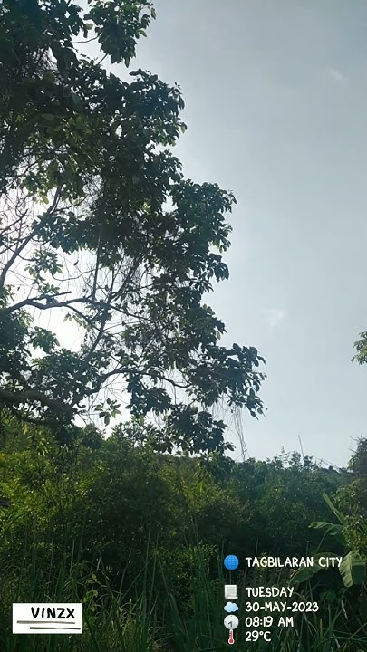 TAGBILARAN CITY WEATHER | MORNING: 30-MAY-2023 (0819H) | vInzx - YouTube