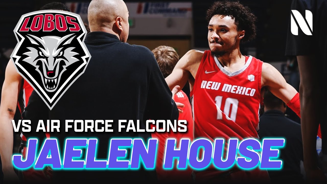 A Career-High for Jaelen House of New Mexico Lobos vs Air Force Falcons ...