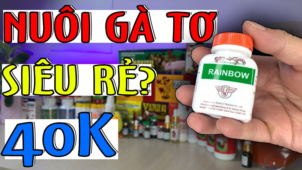 THUỐC NUÔI GÀ RAINBOW G.I.Á BÌNH DÂN VÔ CÙNG HIỆU QUẢ - YouTube