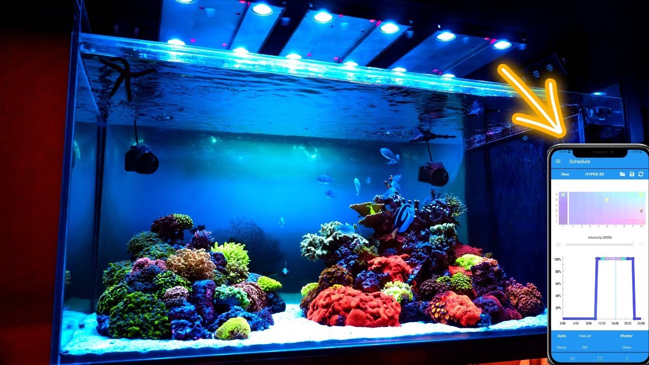 Setting the MASTER/CLONE mode in Skylight reef lamps - HYPERSPOT RS, RM ...