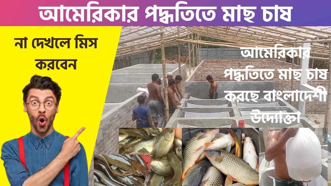 আমেরিকার পদ্ধতিতে মাছ চাষ । বাংলাদেশী উদ্যোক্তা । 2022 | Mach chas ...