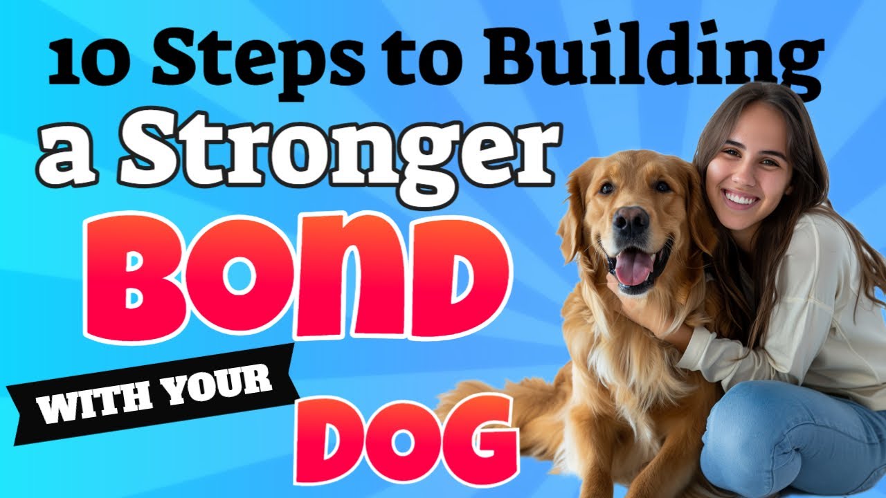 10 Steps to Building a Stronger Bond with Your Dog - YouTube
