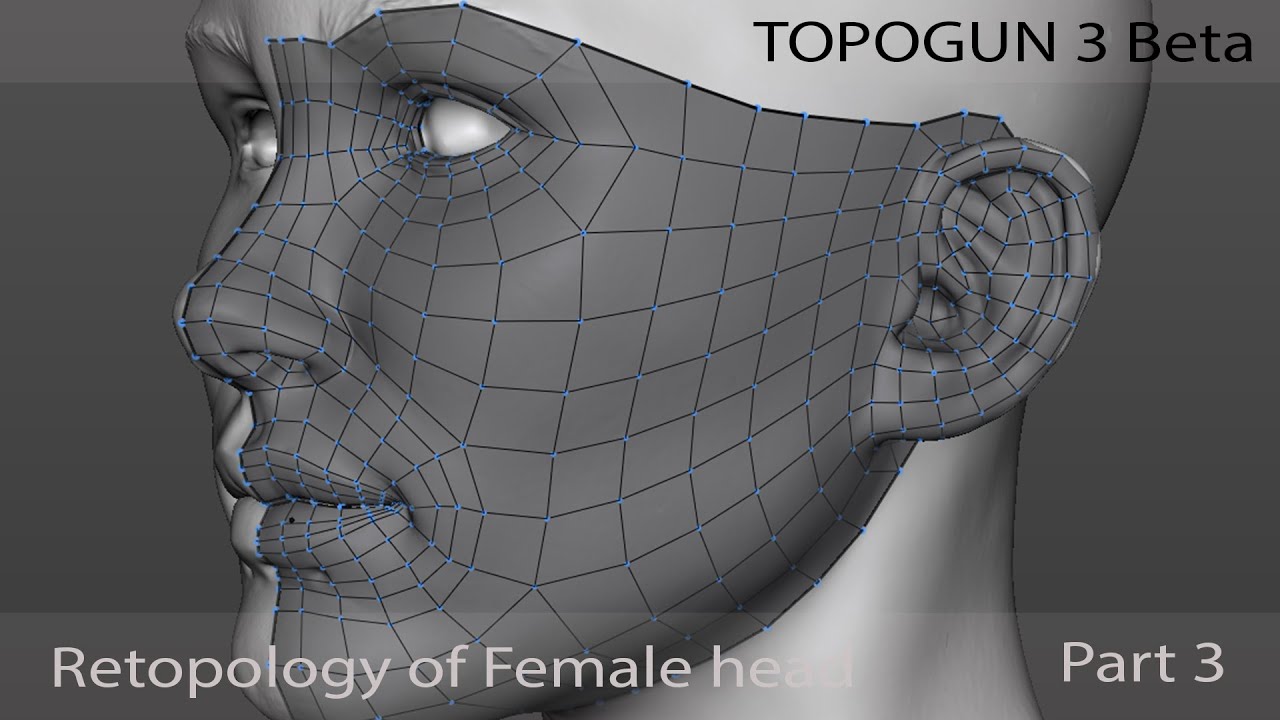 Topogun 3 BETA Retopologising Female Head Part 03 - Create Tool, Guides ...