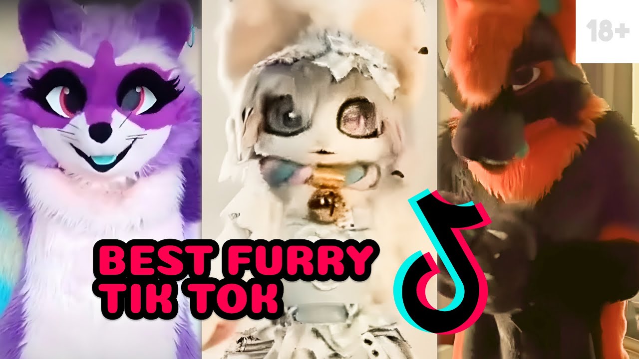Best Furry TikToks 🐯 Fursuit TikToks Compilation [ Ep 058 ] - YouTube
