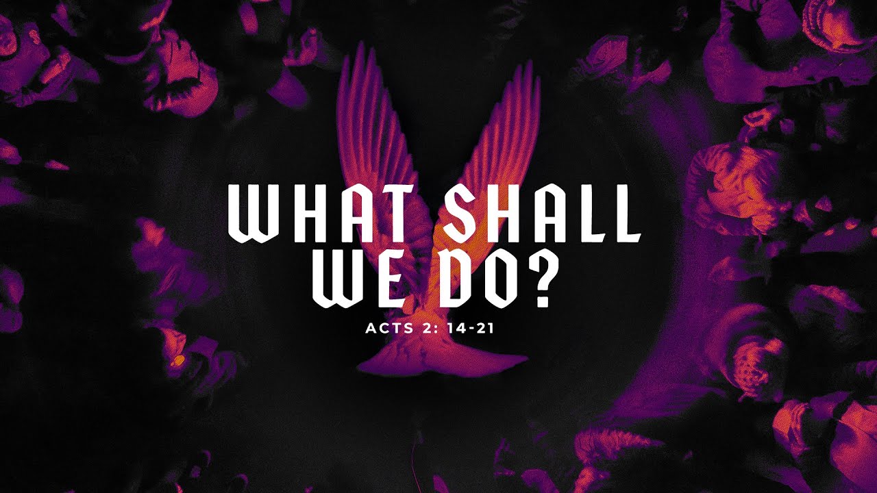 What Shall We Do? (Matt Albritton) - YouTube