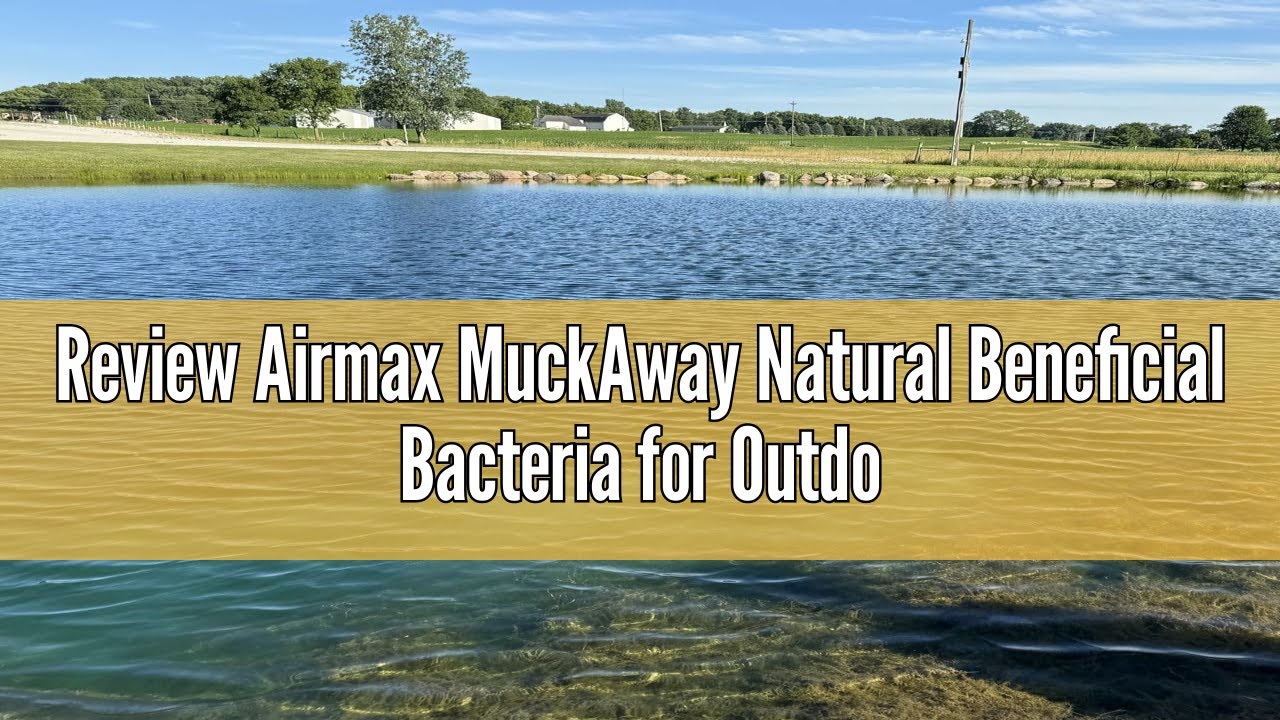 Review Airmax MuckAway Natural Beneficial Bacteria for Outdoor Ponds ...