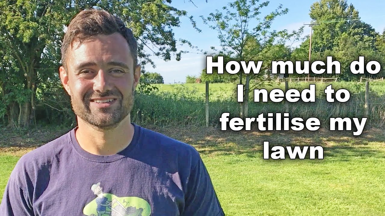 How Much Do I Need To Fertilise My Lawn YouTube how-much-do-i-need-to-fertilise-my-lawn-youtube