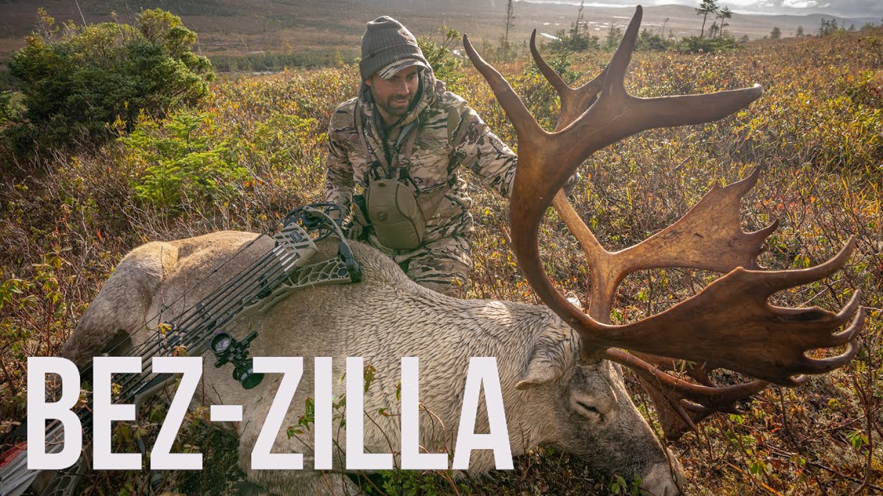 Bez-zilla- Giant Woodland Caribou with a Bow - YouTube