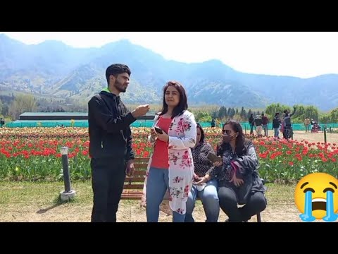 Tourists About ||The File kashmir || Reality of kashmir || Umer Qureshi UMER QURESHI - YouTube