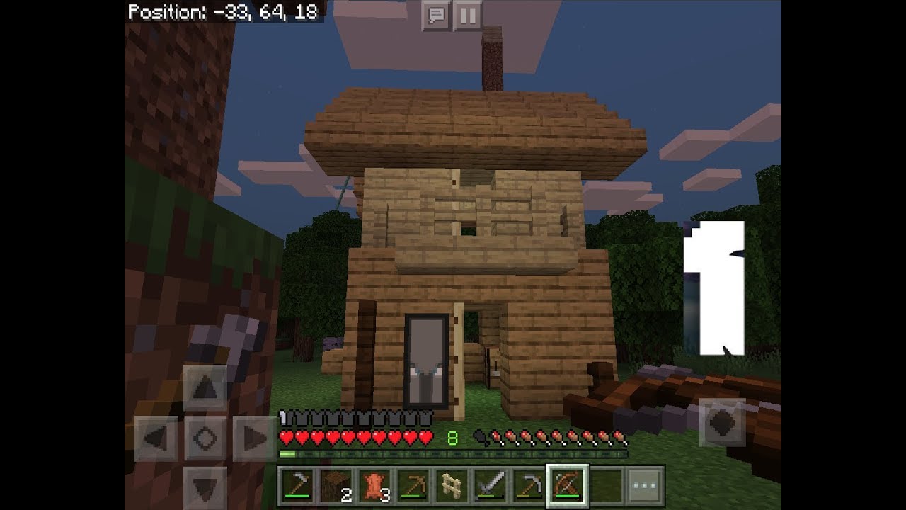 Minecraft Bad Graphics - Episode 1 + face reveal - YouTube