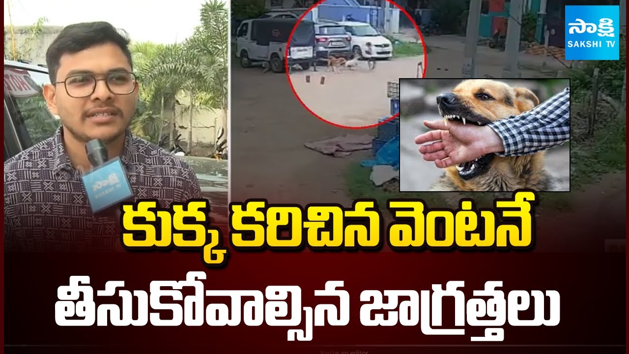Veterinary Doctor Venkatesh Explains about Precautions To Be Taken ...