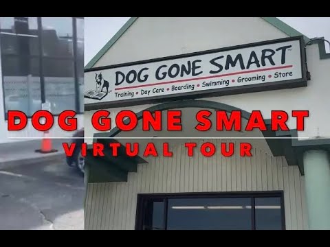 Dog Gone Smart Virtual Tour! - YouTube