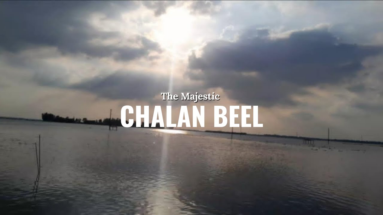 Exploring the Serenity of Chalan Beel | The Hidden Wetland of ...