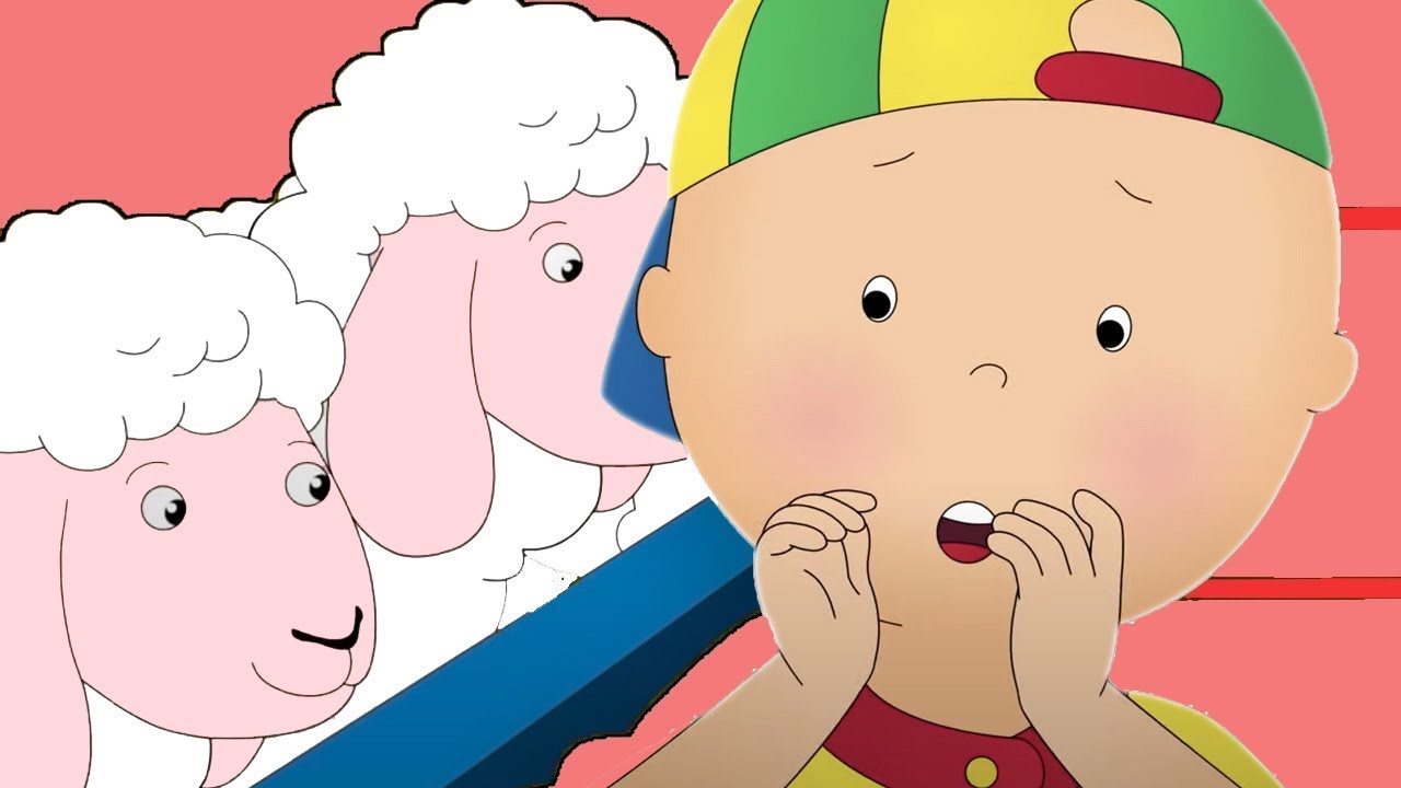 Caillou Counting Sheep | Caillou | Cartoons for Kids | WildBrain Little ...