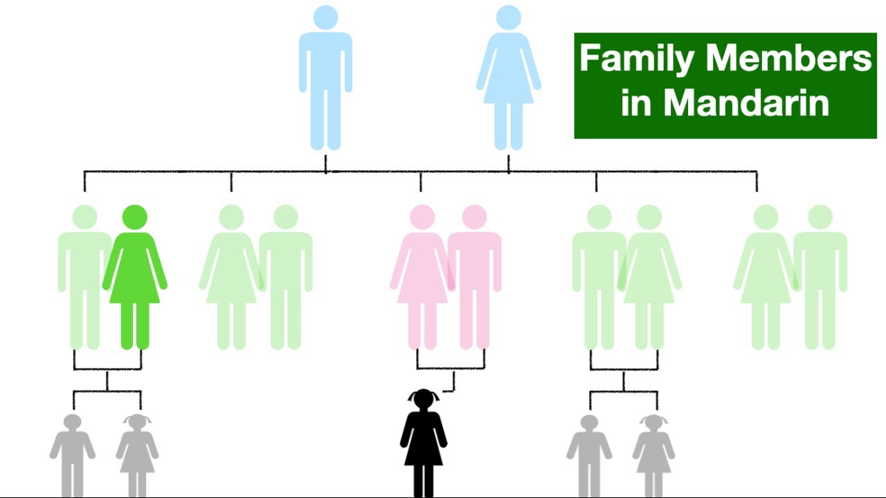 Learn Chinese Vocabulary: Family Members in Mandarin｜学中文单词：家庭成员 ｜중국어 수업 ...