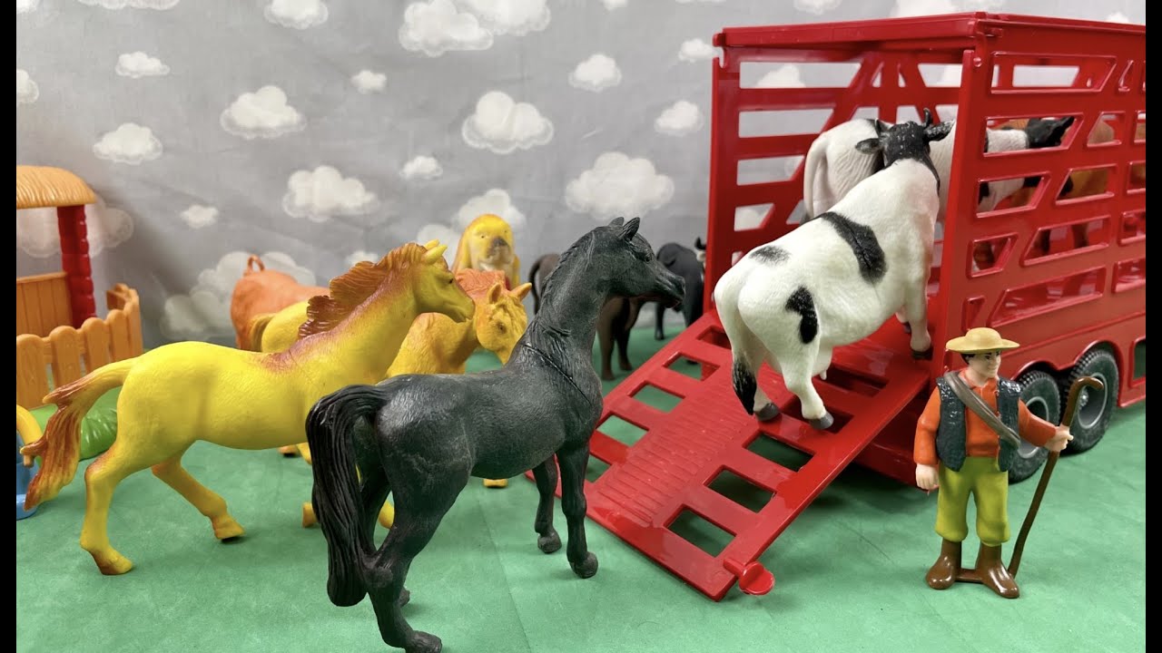 TRANSPORTING THE FARM ANIMALS IN THE BIG RED CART/TRANSPORTANDO OS ...