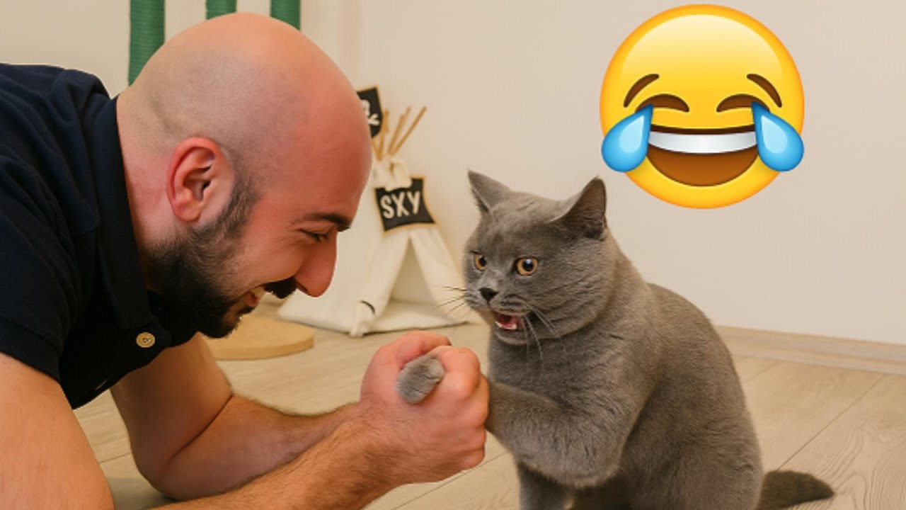 When Humans Meet a Comedian Cat 😂 The Funniest Friendship Ever! - YouTube