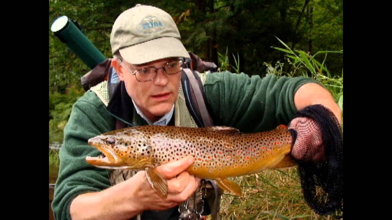 HASKELL FISH OF A LIFETIME.wmv - YouTube