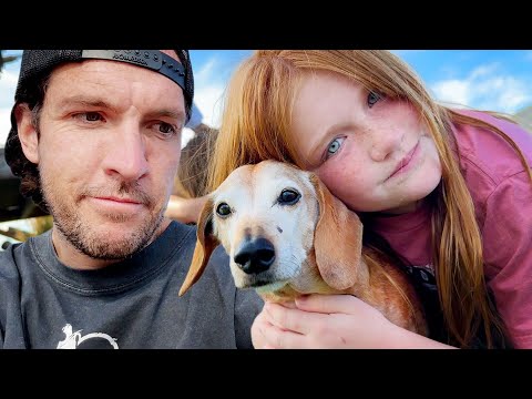 SAYiNG GOODBYE to KOOPA.. sad to see our dog struggle but happy to reflect on our best memories ever