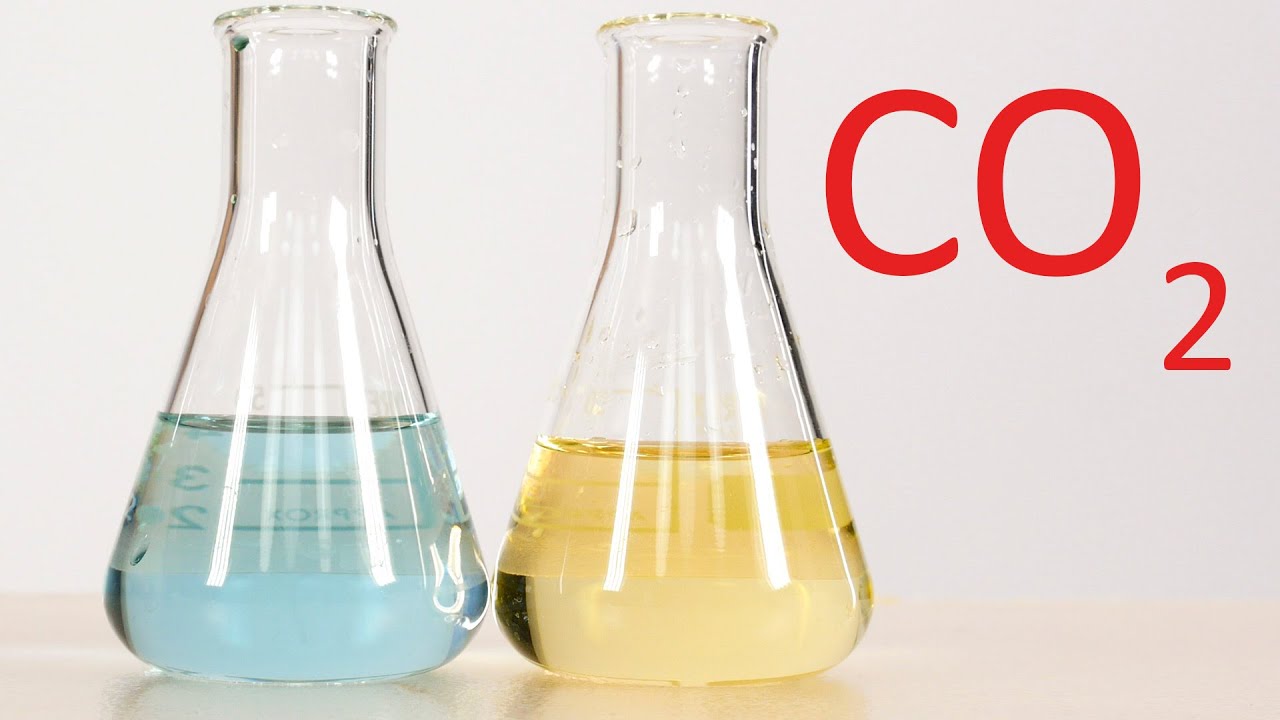 CO2 y Azul de Bromotimol. EXPERIMENTO. Detección de CO2. - YouTube