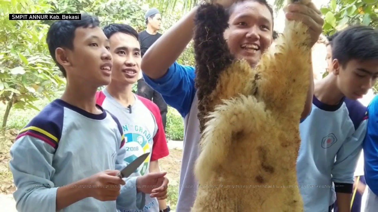 KEGIATAN SMPIT ANNUR - YouTube