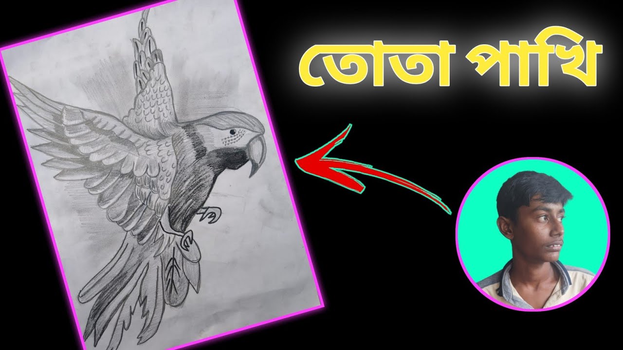 Parrot Painting || How To Draw Parrot step By Step || Bird Drawing ...
