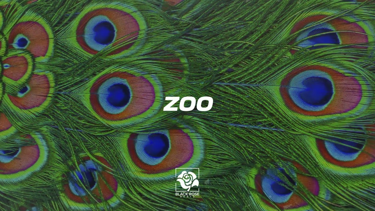 house type beat "zoo" | g house type beat | free rap club banger type ...