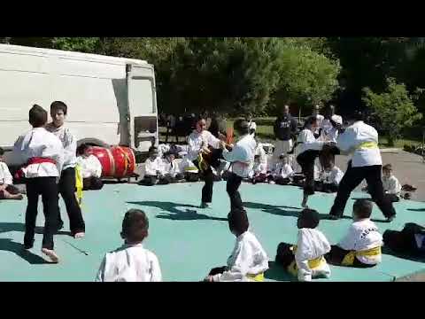 tay vu dao demonstration enfants - YouTube