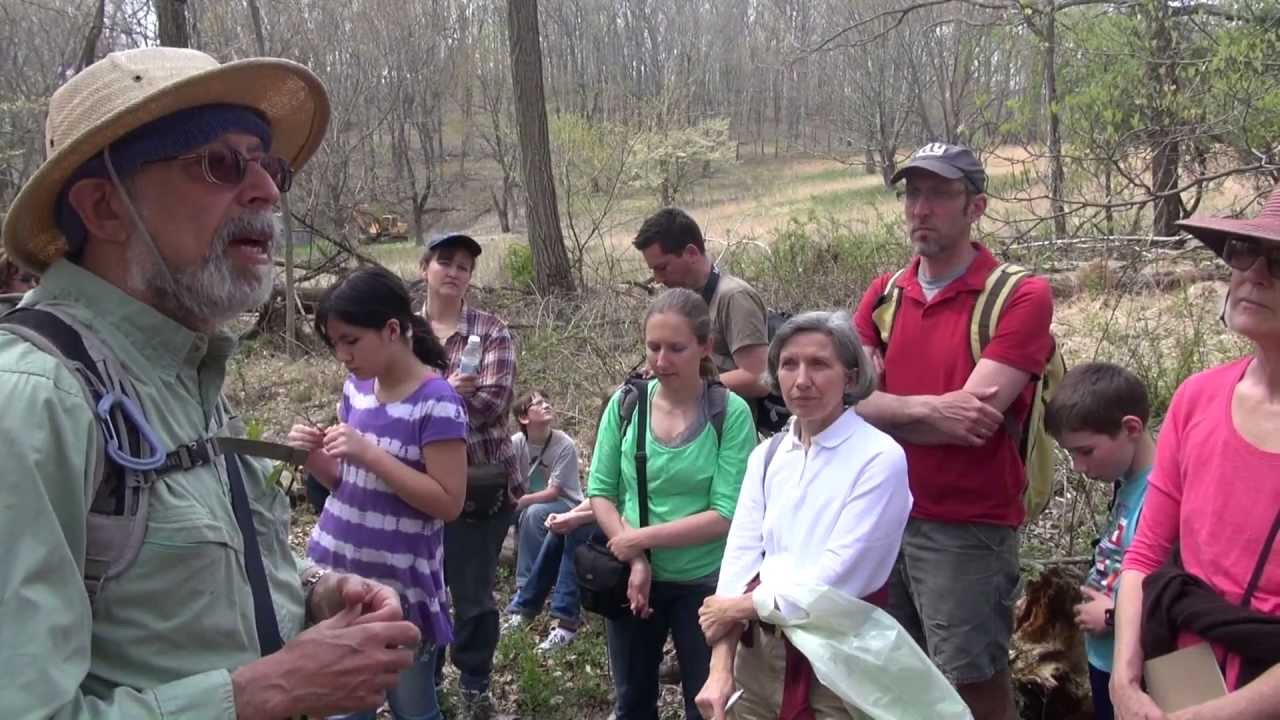 Return to Nature - Foraging with Wildman Steve Brill - YouTube