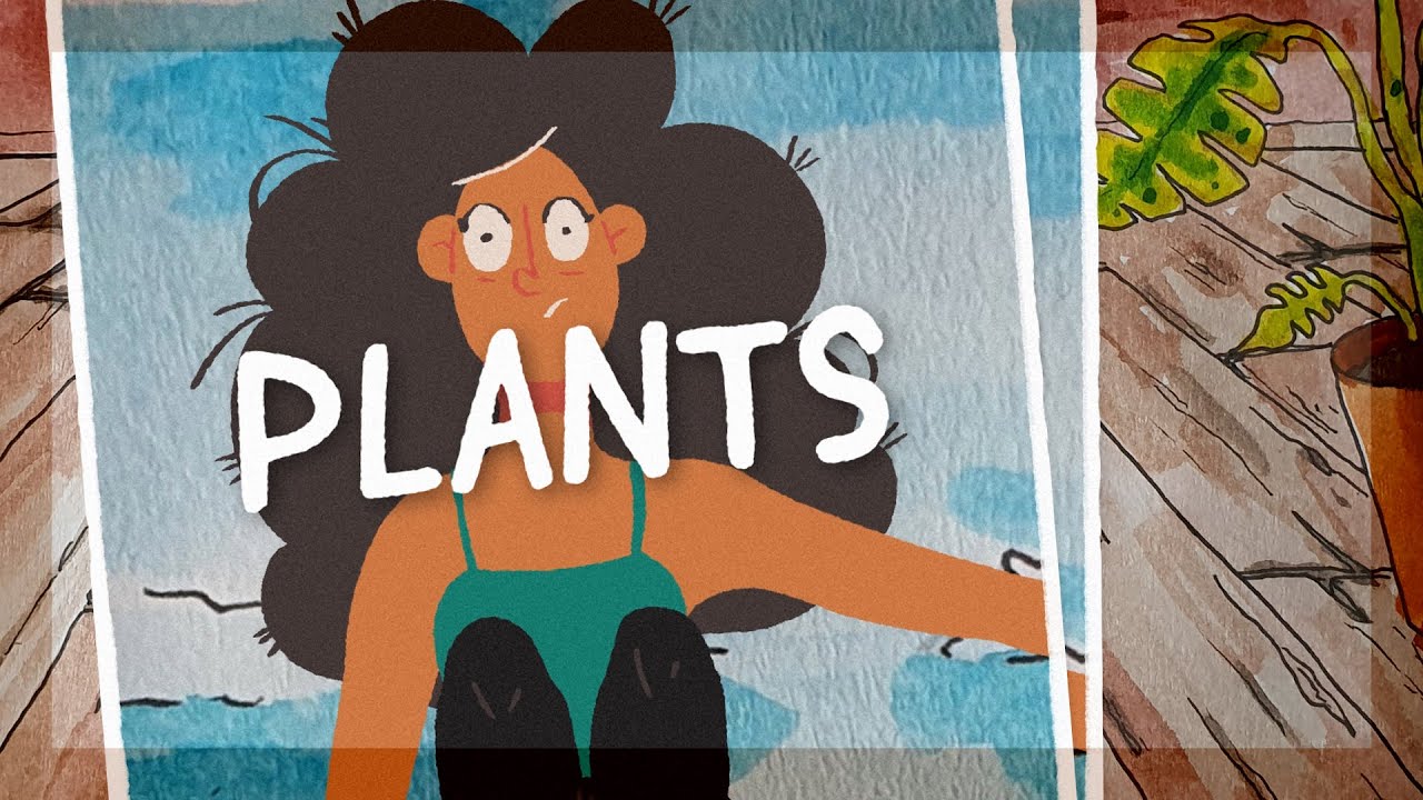 Plants | Animation - YouTube