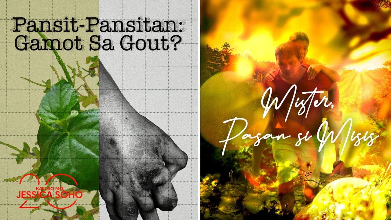 Pansit-Pansitan: Gamot Sa Gout?; Mister, Pasan Si Misis | Kapuso Mo ...