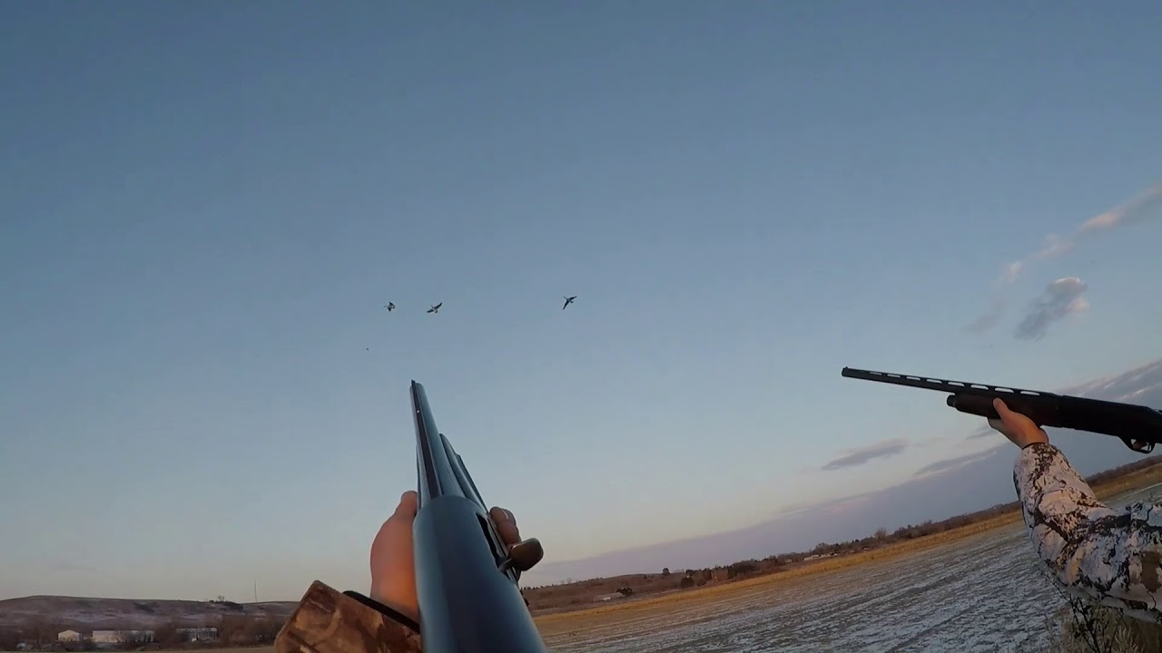 Best Goose Tackle Hunt - YouTube