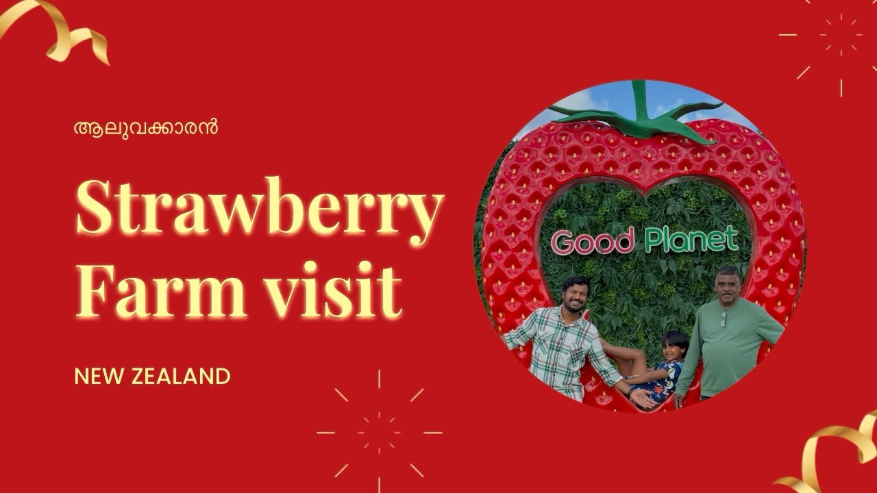 🍓 Strawberry Picking Fun at Good Planet | Auckland, NZ 🇳🇿 - YouTube