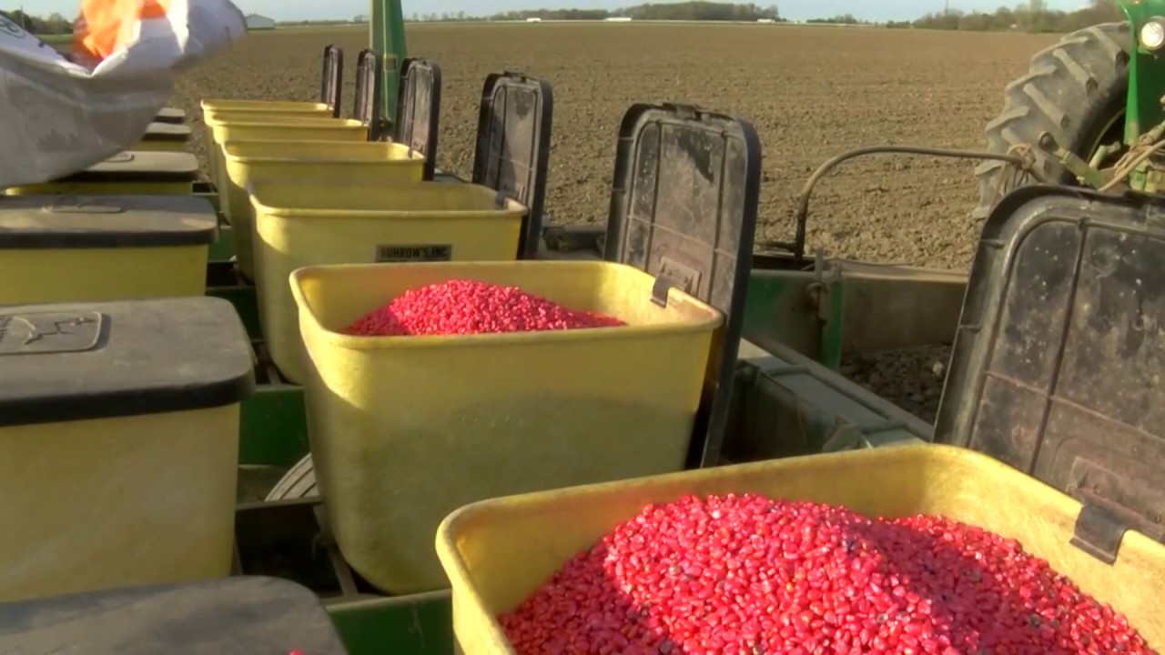 A Moment of Zen around spring farming - YouTube