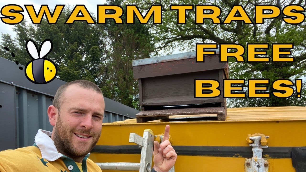 Catching Swarms the easy way. The Swarm Trap / Bait Hive! - YouTube