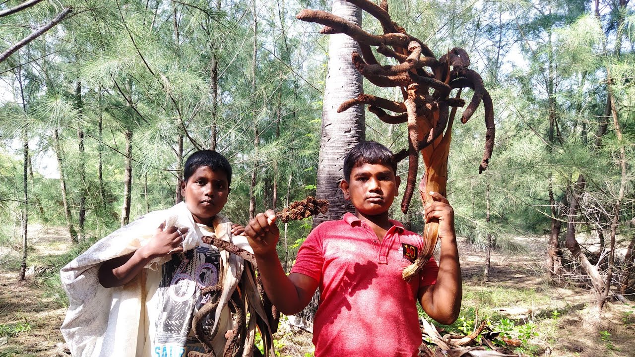 How to make a karthi / mavuli / mavali for karthigai deepam - YouTube